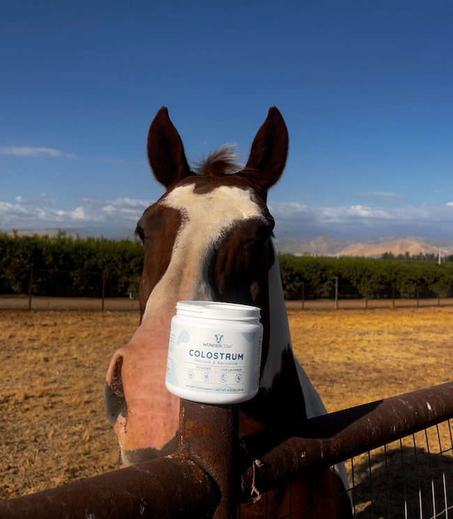 Colostrum For Pets