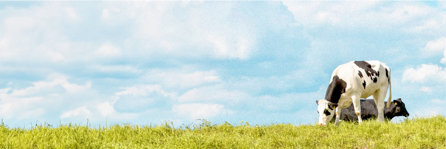 The Science Behind Colostrum