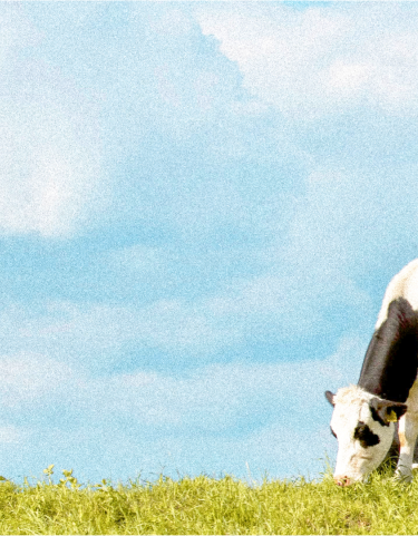 The Science Behind Colostrum